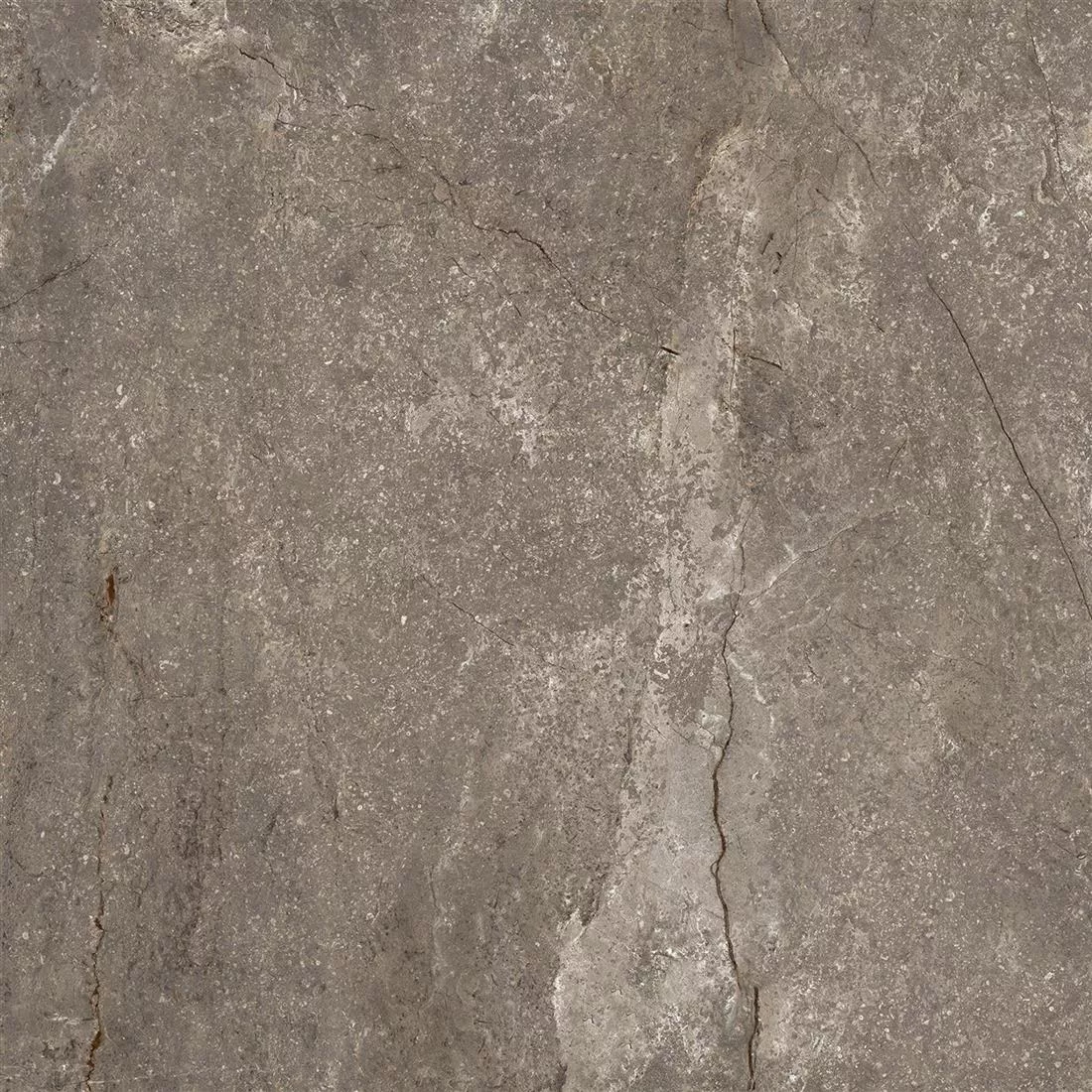 Floor Tiles Noiron Mat Polished Mocca 60x60cm