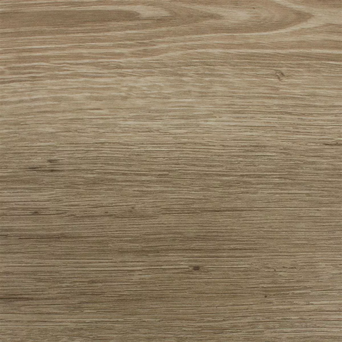 Vinyl Floor Tiles Adhesive Vinyl Newcastle 23,2x122,7cm Beige