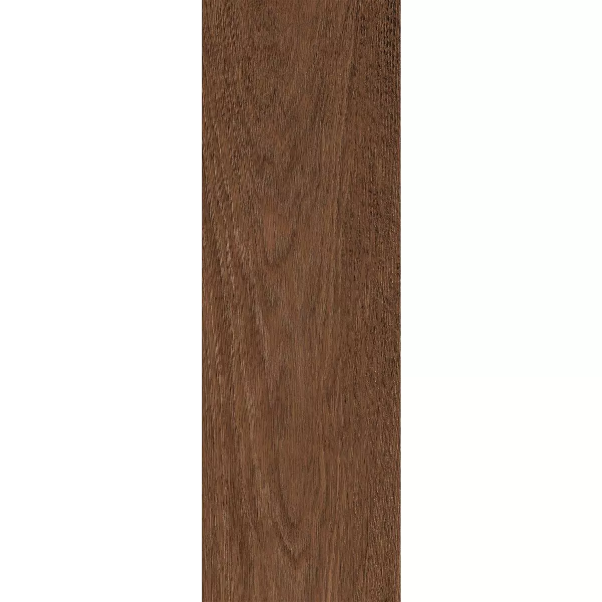 Sample Floor Tiles Porcelain Stoneware Wood Optic Malente Maple 20x120 cm