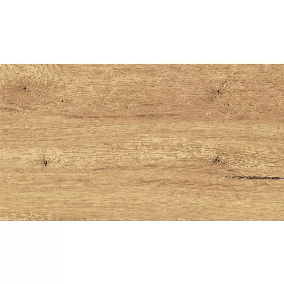 Sample Floor Tiles Riverside Wood Optic Brown 30x60 cm