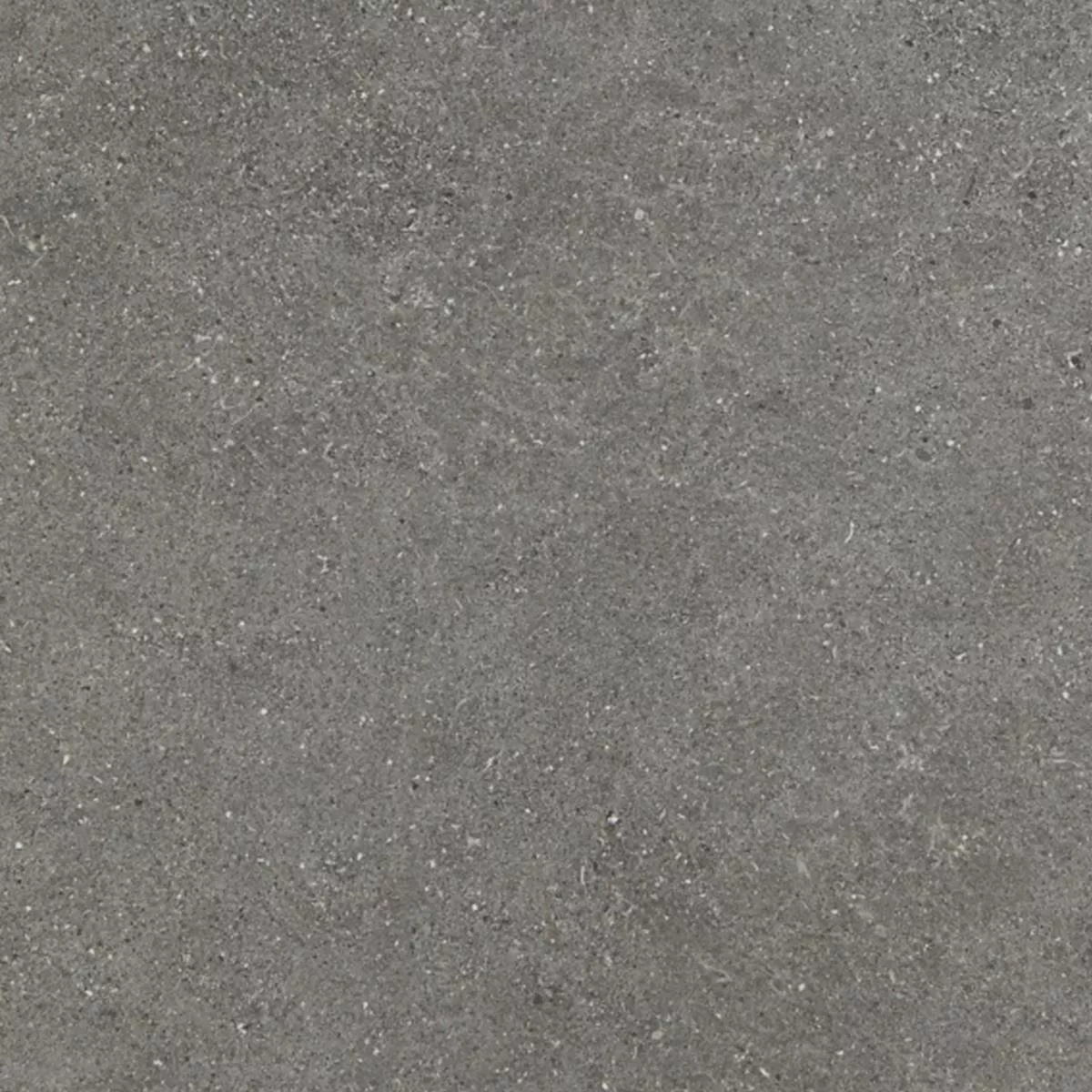 Sample Terrace Tiles Porcelain Stoneware Cremona Grey Natural stone ...