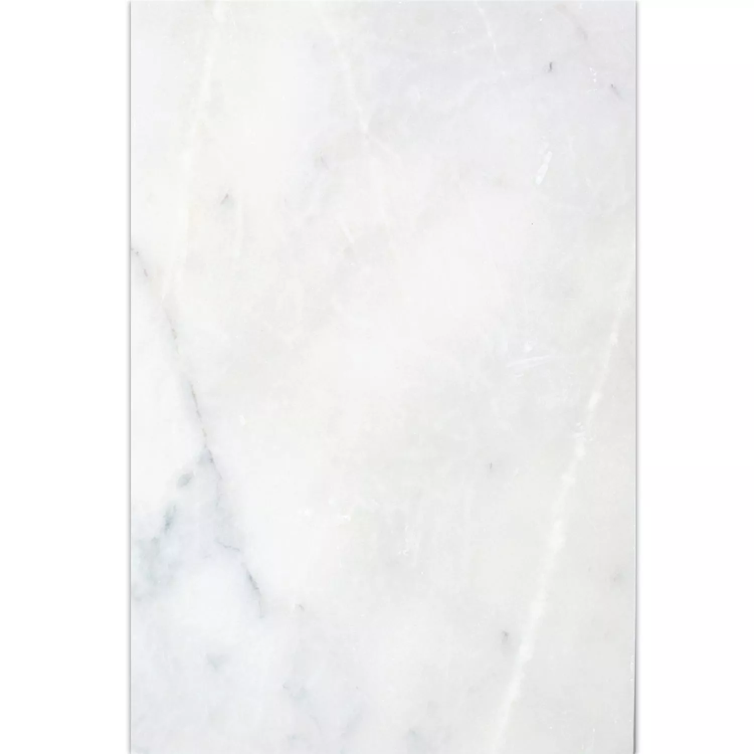 Marble Natural Stone Mosaic Brick Treviso White